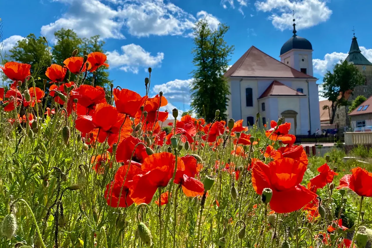 Schlossgut - Schlossgut Altlandsberg
